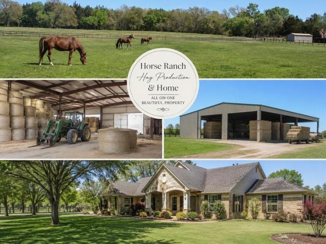 0 Fleming Rd, Bells, TX 75414 | MLS #20623