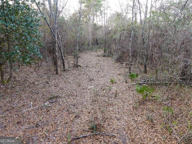 0 Floyd Rd, Unit LOT 9, Pembroke, GA 31321 | MLS #10667 | Compass