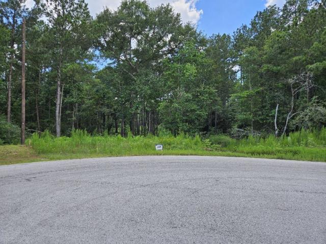 0 Fluorite Ct, Huntsville, TX 77340 | MLS #44830