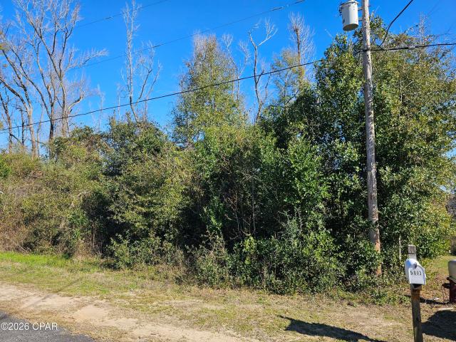 0 Flynt Dr, Marianna, FL 32446 | MLS #784331