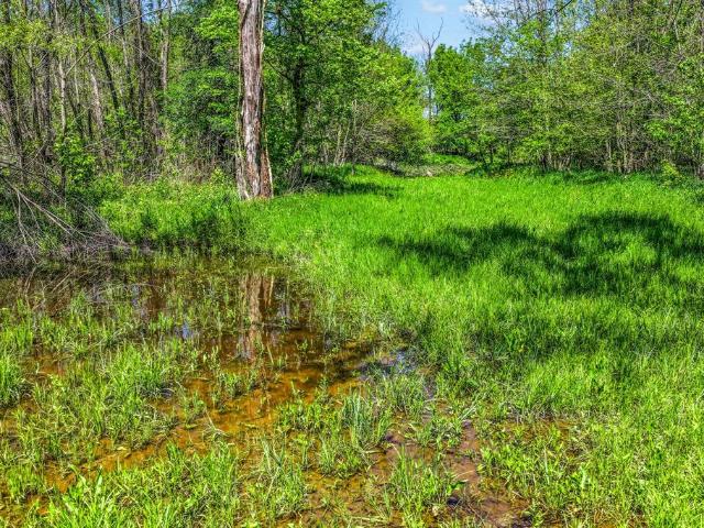 0 Fm 196, Deport, TX 75435 | MLS #21244 | Compass