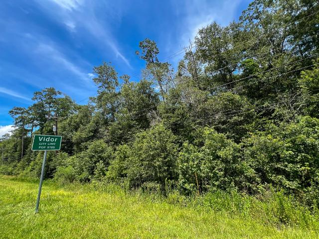 0 Fm 1132, Vidor, TX 77662 | MLS #93970