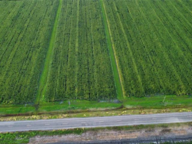 0 Fm 1164 Road