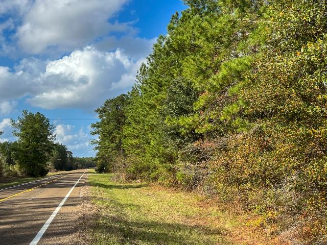 0 Fm 2460, Bon Wier, TX 75928 | MLS #61123 | Compass