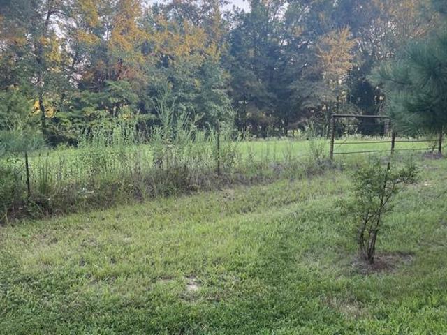 0 Fm 2909 & Pr, Canton, TX 75103 | MLS #21043