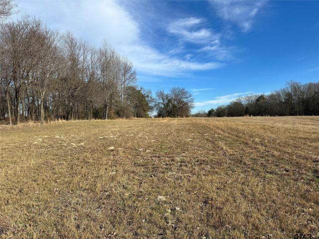 0 Fm 2948, Como, TX 75431 | MLS #26001 | Compass
