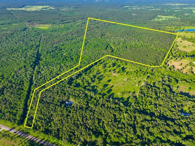 0 Fm 230, Trinity, TX 75862 | MLS #6730