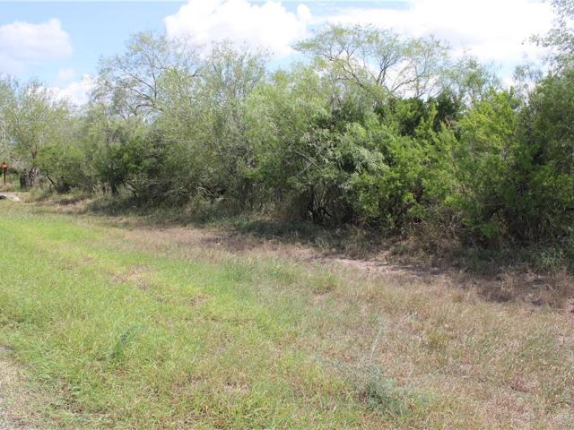 0 Fm 716 Hwy, Premont, TX 78375 | MLS #488442 | Compass