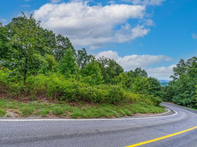 0 Foggy Cut Ln, Landrum, SC 29356 | MLS #1566 | Compass