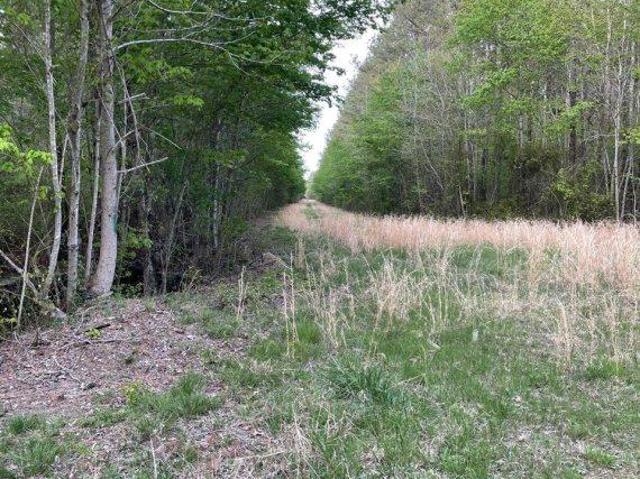 0 Follow Ditch Road