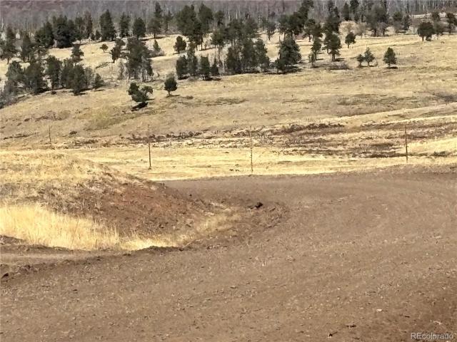 0 Forbes Park Rd, Fort Garland, CO 81133 | MLS #2068