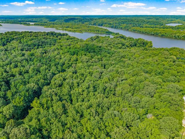 0 Forest Trail