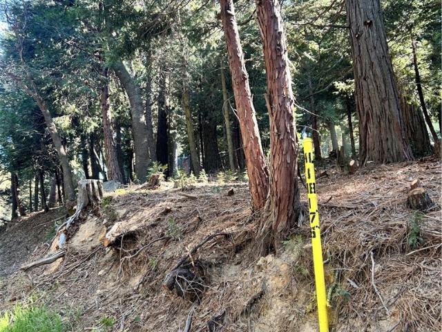 0 Forest Vw, Crestline, CA 92325 | MLS #IG26073 MR | Compass