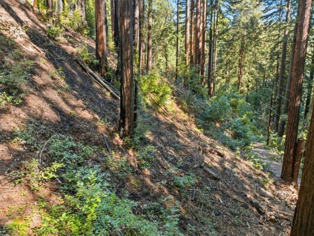 0 Forest Way