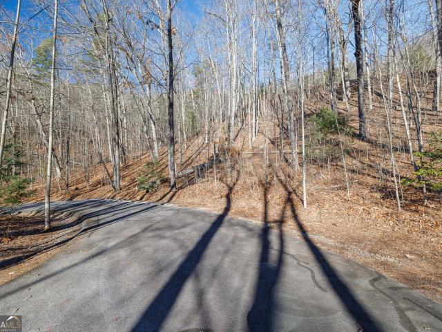 0 Forest Canopy Way 11