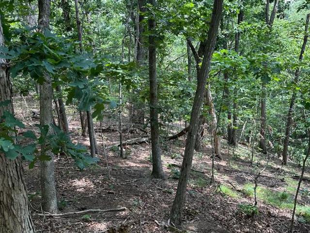 0 Forest Drive