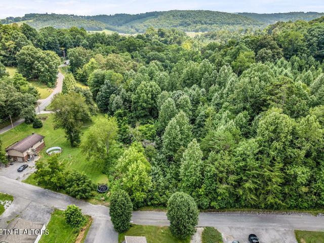 0 Forest Meadows lane, New Tazewell, TN 37825