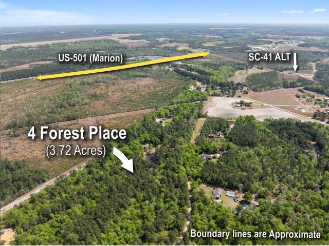 4 Forest Pl