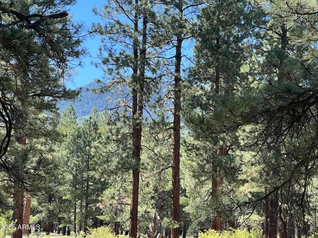 0 Forest Road 193, Flagstaff, AZ 86001 | MLS #6929