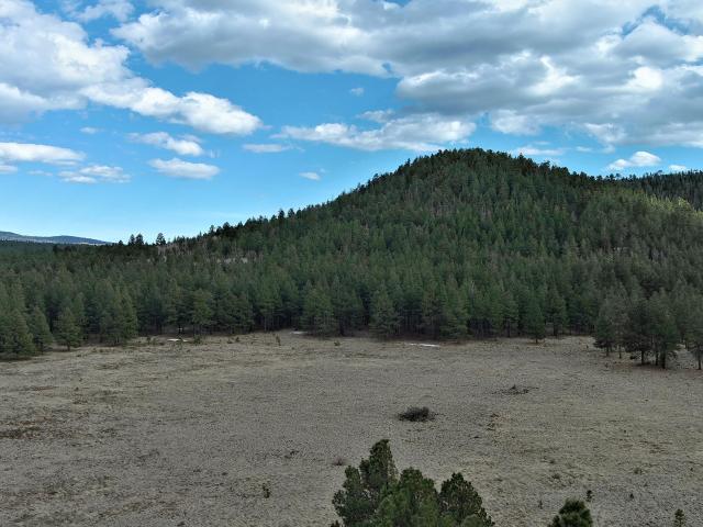 0 Forest Road 193 St, Flagstaff, AZ 86001 | MLS #6929