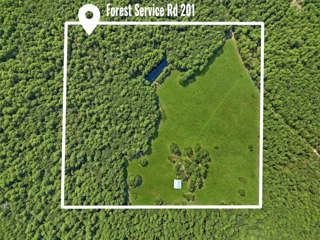 0 Forest Service Road 201, Cleveland, TX 77328 | MLS #34099