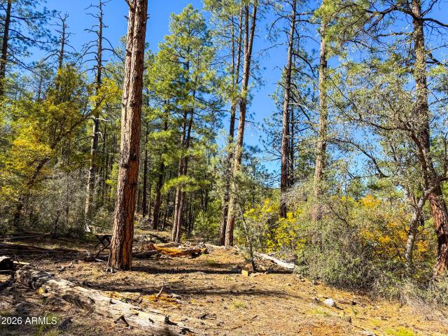 0 Forest Service Road #