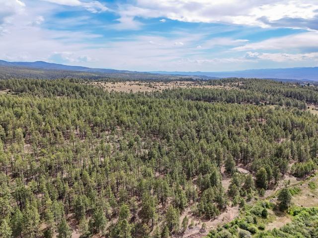 0 Forest Service Road 639