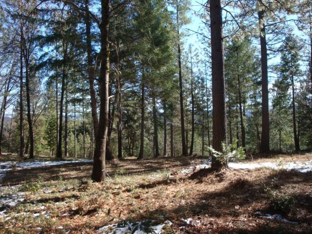 0 Foresthill Rd, Foresthill, CA 95631 | MLS #225074