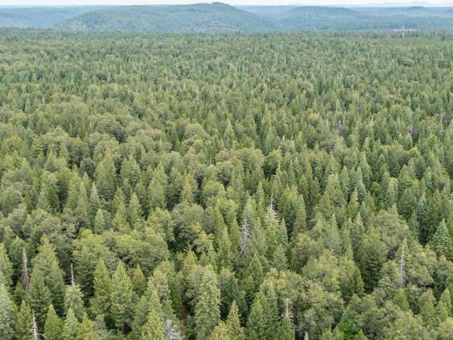 0 Foresthill Rd, Foresthill, CA 95631 | MLS #226082