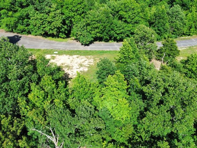 0 Forrest Crossing