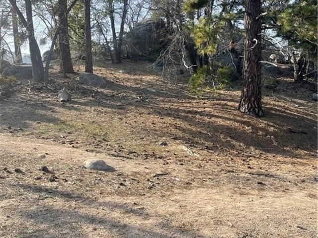 0 Forrest Dr, Running Springs, CA 92382 | MLS #HD26052