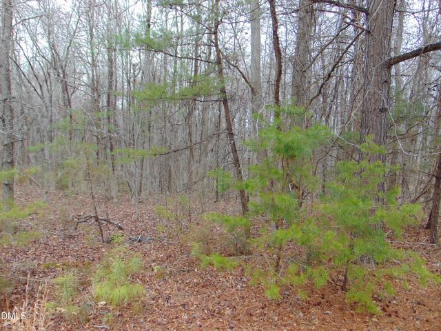 0 Fowlkes Road