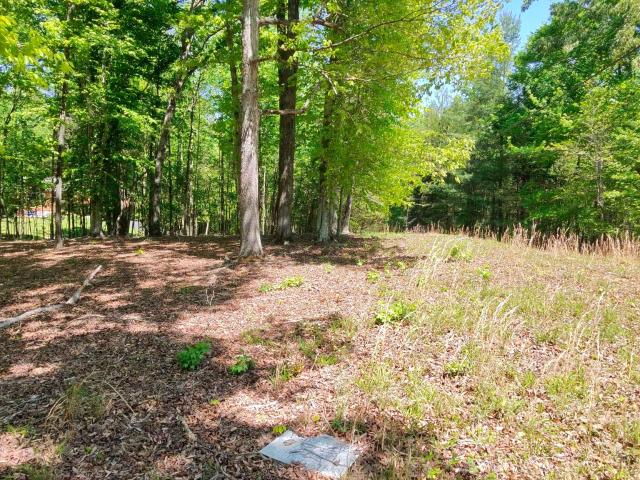 0 four Seasons Dr, Smithville, TN 37166 | MLS #3181