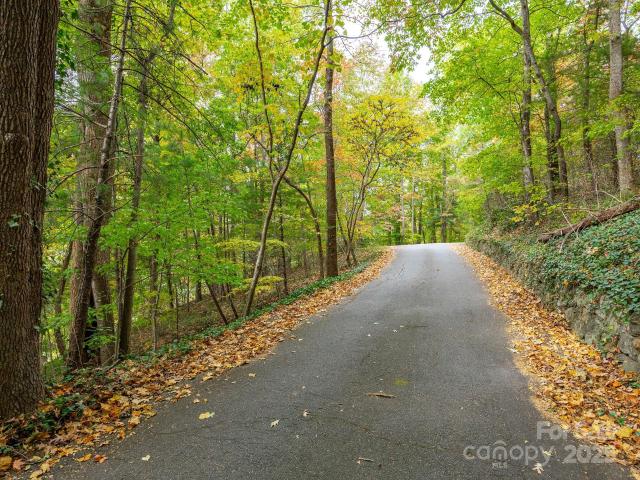 0 Fox Trot Ln, Tryon, NC 28782 | MLS #4317