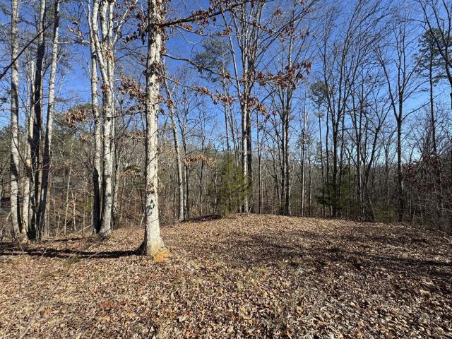 0 Fox Trl Dr, Old Fort, TN 37362 | MLS #3119 | Compass
