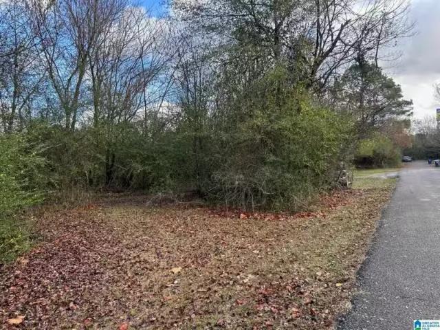 0 FRANCIS STREET # 1, ANNISTON, AL 36206