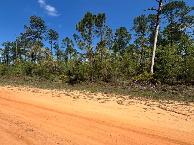 0 Fremont Ave, Alford, FL 32420 | MLS #788011 | Compass