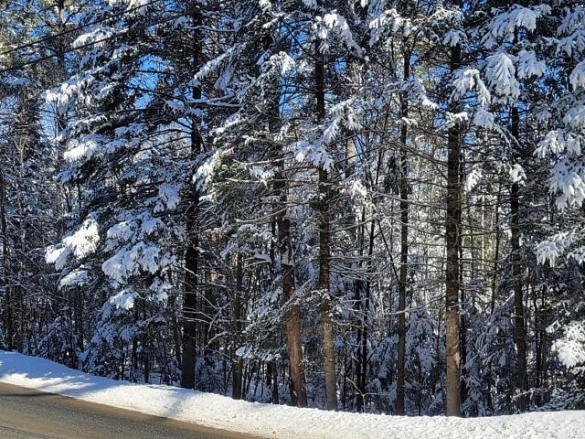 0 French Pond Rd, Unit 55 AND 56, Woodsville, NH 03785 | MLS #5077