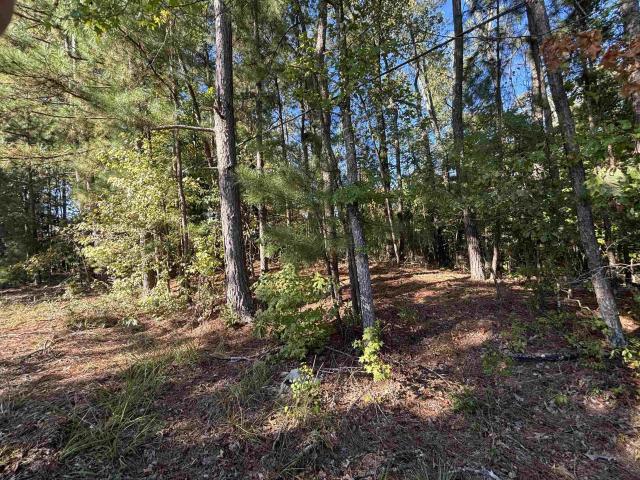 0 Freda Lane North Lot