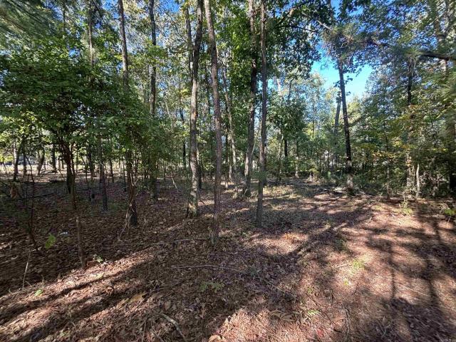 0 Freda Lane South Lot