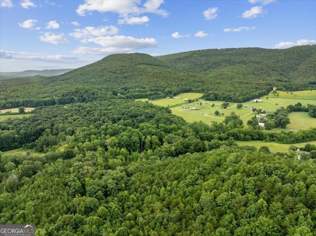 0 Fricks Gap Road LOT #4
