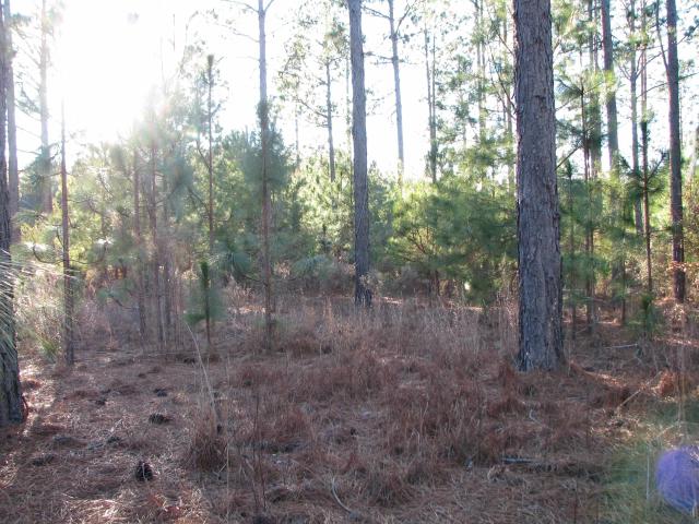 0 Gully Branch Rd