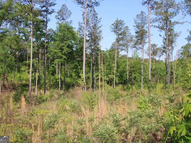 0 Ga Hwy 87 Tract 1
