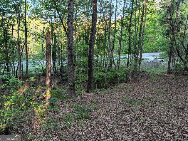 0 Ga Hwy 116, Hamilton, GA 31811 | MLS #10729 | Compass