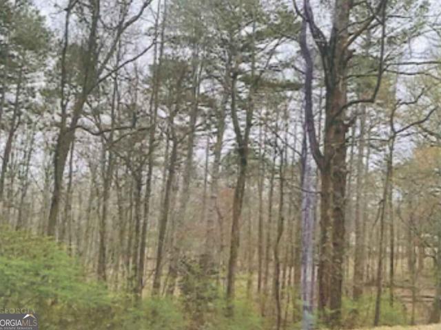 0 Gainesville Highway