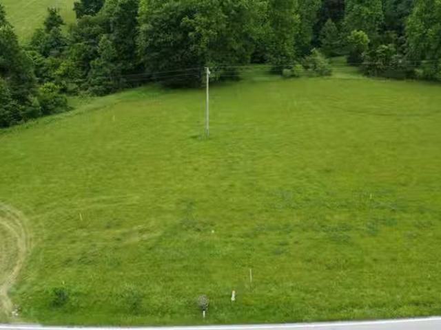 0 GALEN RD, LAFAYETTE, TN 37083 Vacant Land For Sale MLS# 265.