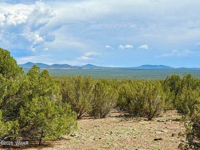 0 Gample 13 Acres Ln Lot B, Show Low, AZ 85901