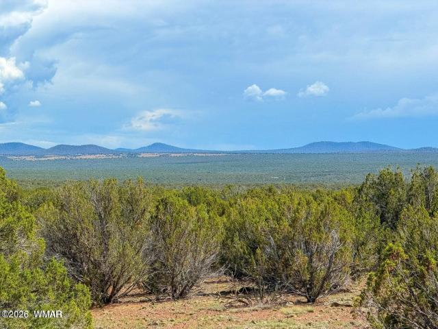 0 gample ln. 13 acres lot c