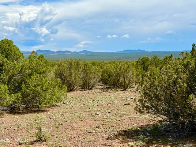 0 gample ln. 13 acres lot a