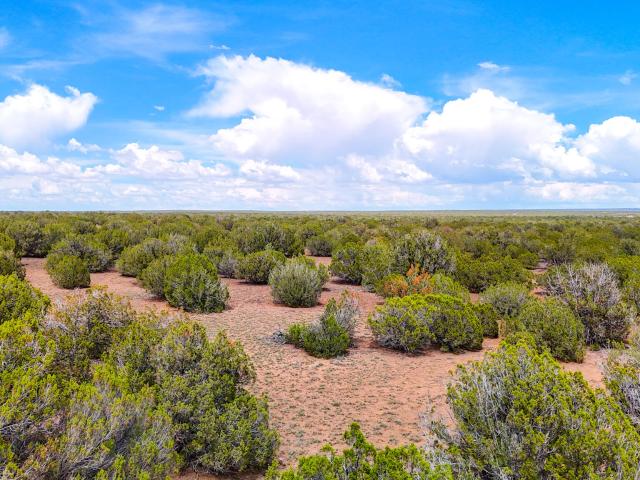 0 gample ln. 13 acres lot b